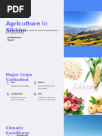 Major Agricultural Crops in Sikkim | PDF | Agriculture | Crops