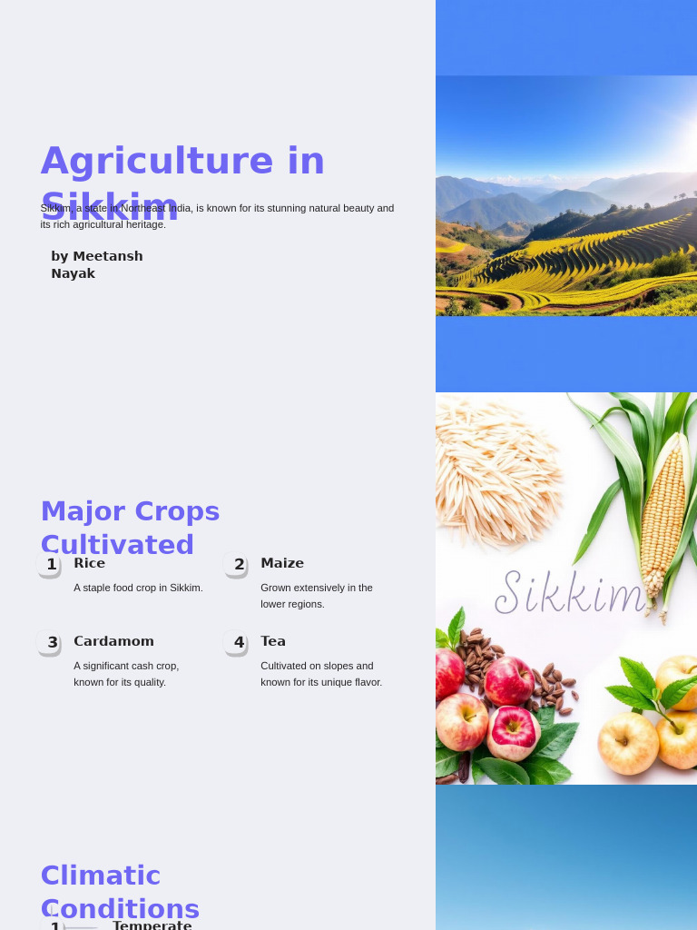 Major Crops and Practices in Sikkim | PDF