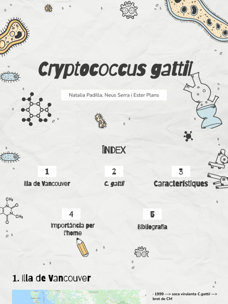 Presentación C. Gattii | PDF