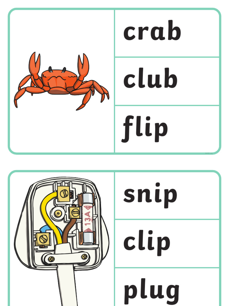 T L 9134 CVC Words Peg Matching Game Ver 3 | PDF