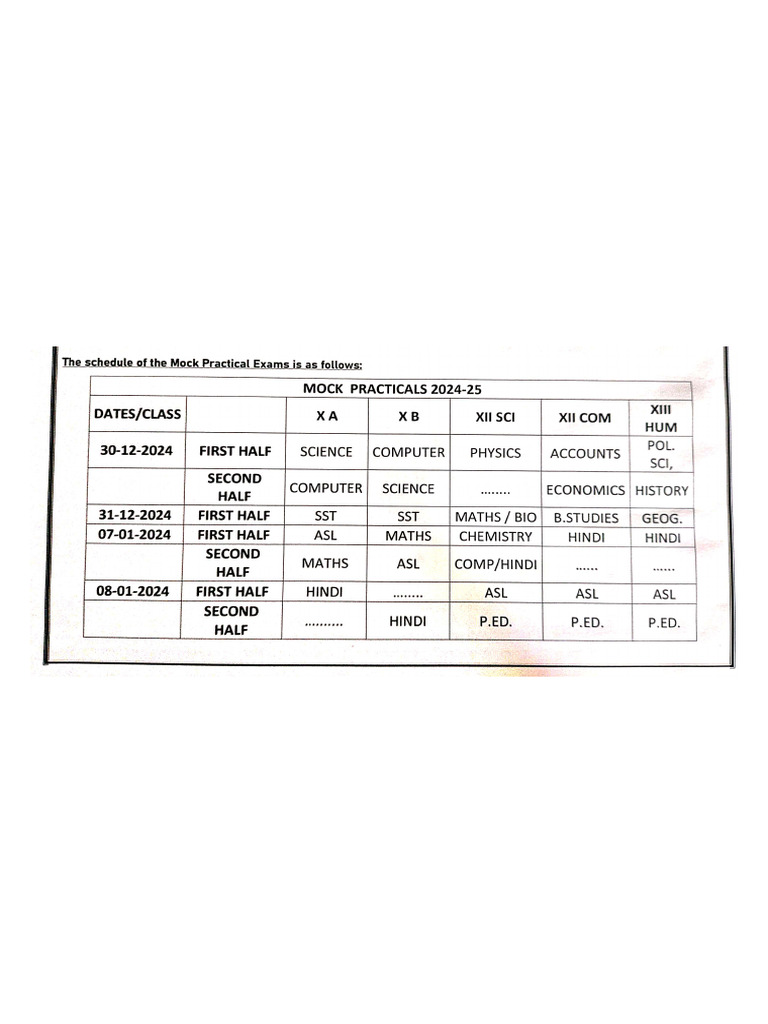 Mock Practicals 2024-25 | PDF
