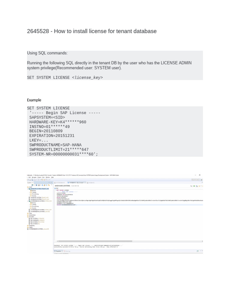 Hana Tenet License Install | PDF
