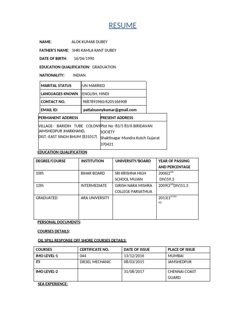 Alok Resume 1111 | PDF | Shipping | Water Transport