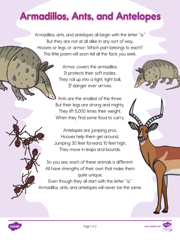 Color Second Grade Poetry Analysis Activity - Armadillos, Ants, and ...