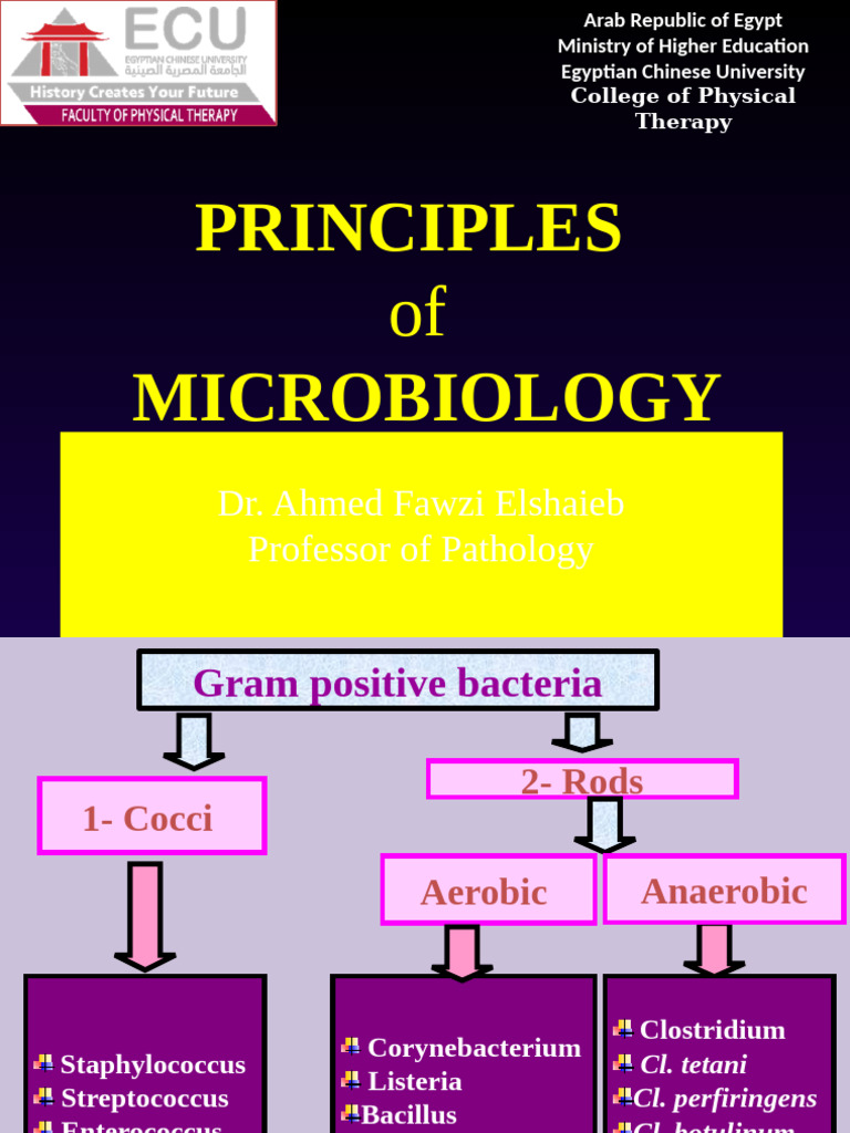 Systemic Microbiology Part - 1 | PDF | Streptococcus | Staphylococcus
