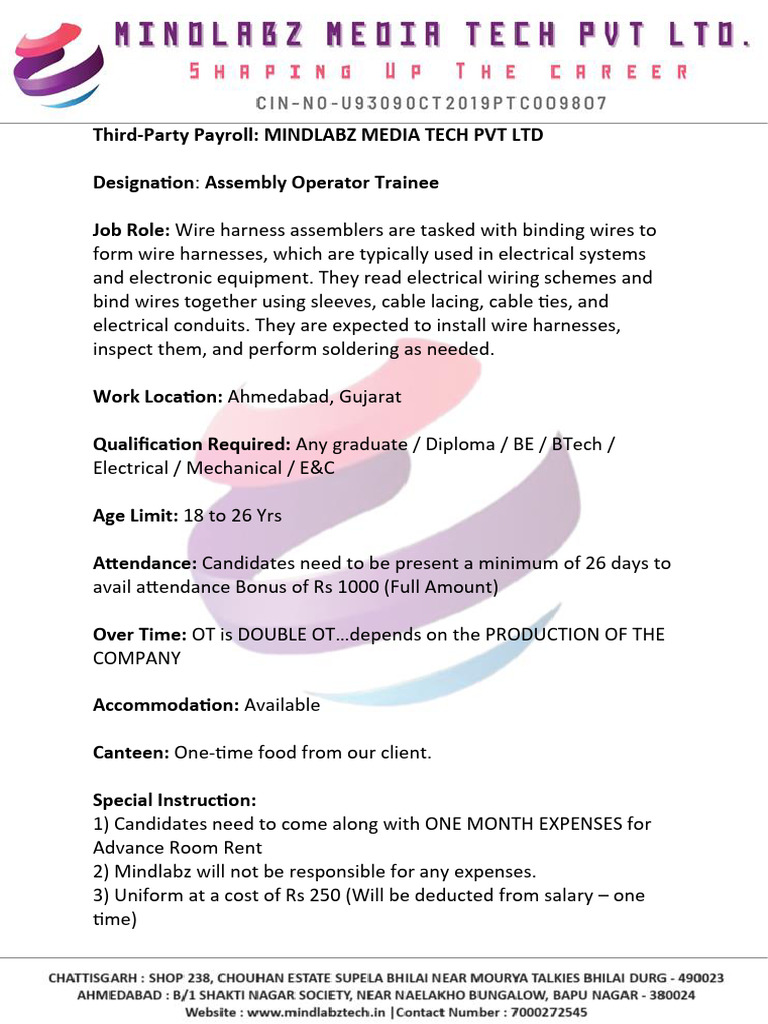 Yaz Naps 2024 Job Description | PDF