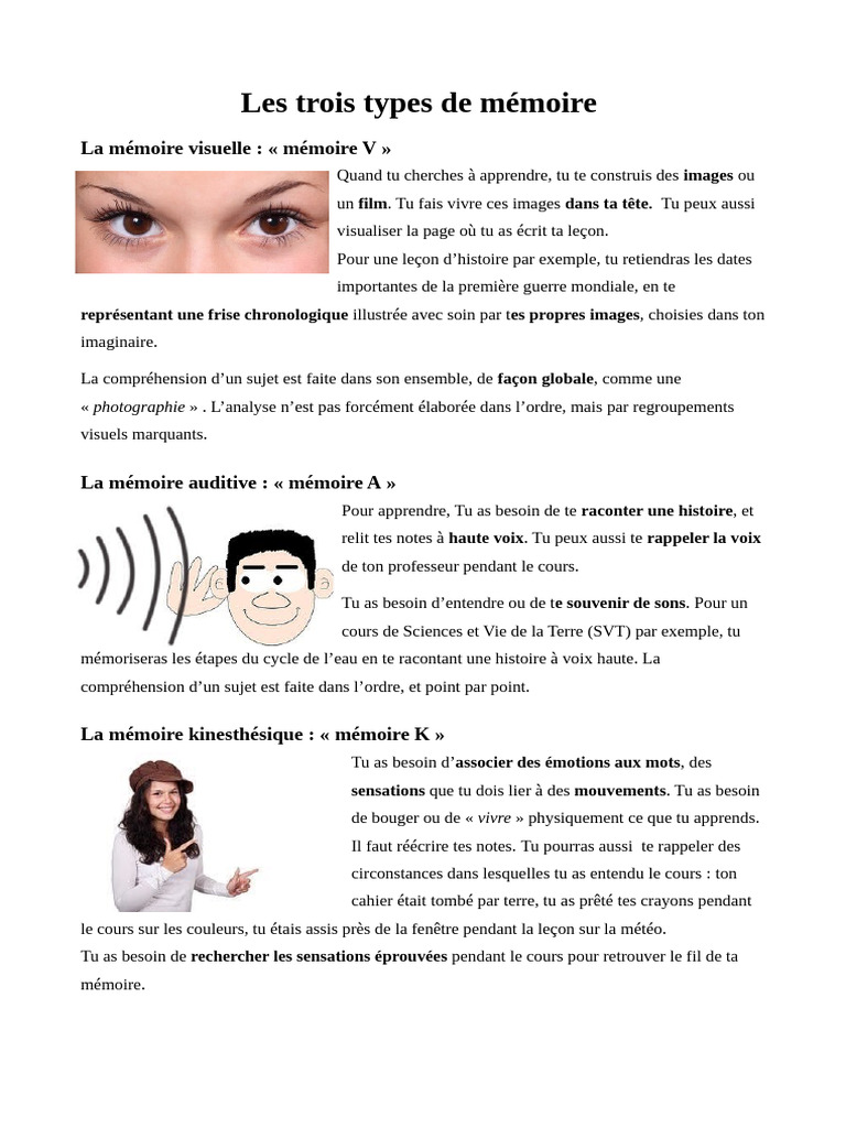 Les 3 types de mémoire expliqués | PDF