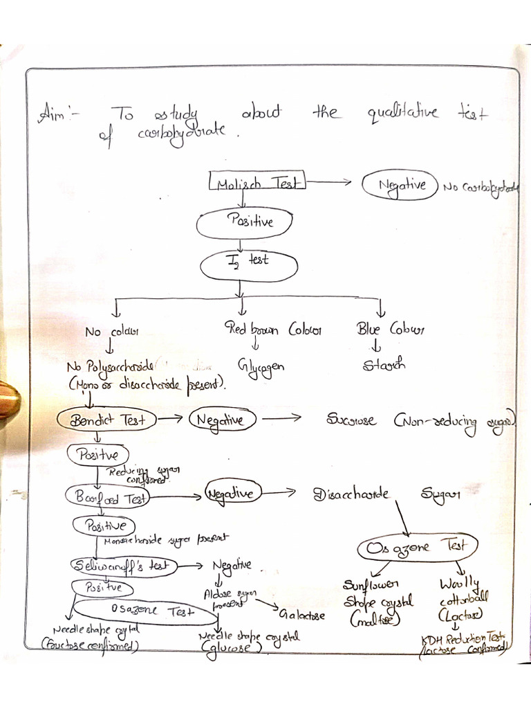 Biochemistry Experiment 1 To8 | PDF