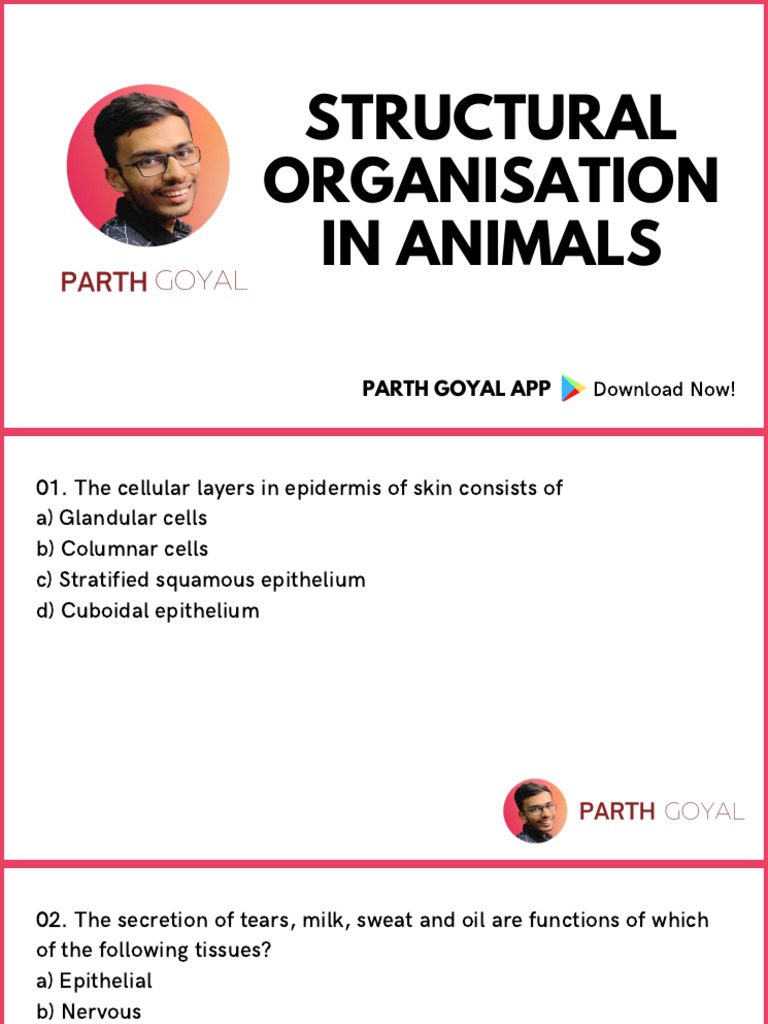 Animal Tissue Types and Functions | PDF | Epithelium | Tissue (Biology)