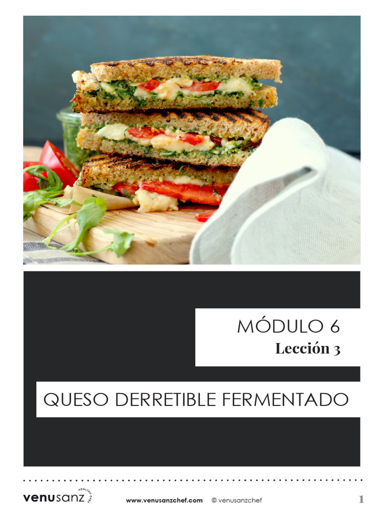 Lección 3 - Queso-Derretible-Fermentado-1 | PDF | Queso | Alimentos