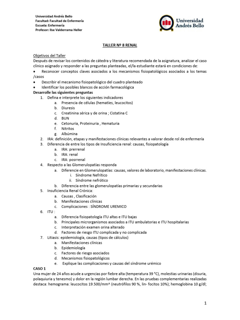 Taller Nº 9 EFER 24 Renal | PDF | Enfermedad renal crónica | Nefrología