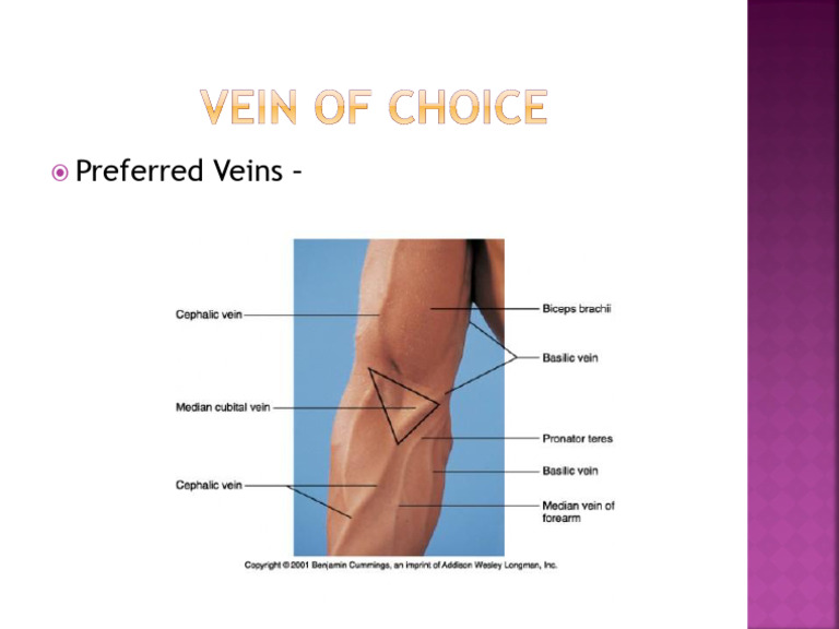 Phlebotomy - Basics1 Pages 23 | PDF