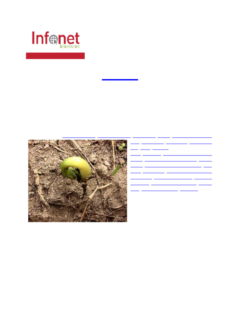 Beans by Infonet Biovision | PDF | Legume | Phaseolus Vulgaris