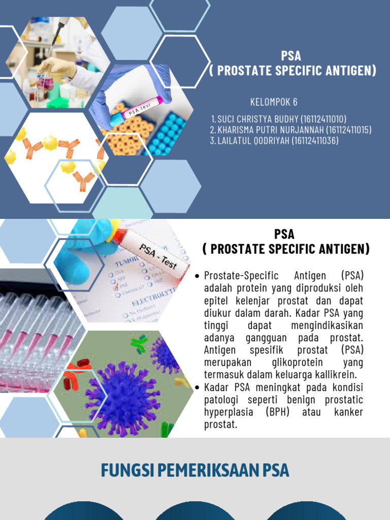 Hanover and Tyke | PDF