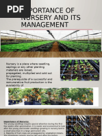Layout of A Nursery | PDF | Plant Nursery | Horticulture