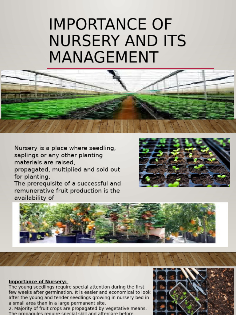 Importance of Nursery and Its Management | PDF | Plant Nursery | Pest ...