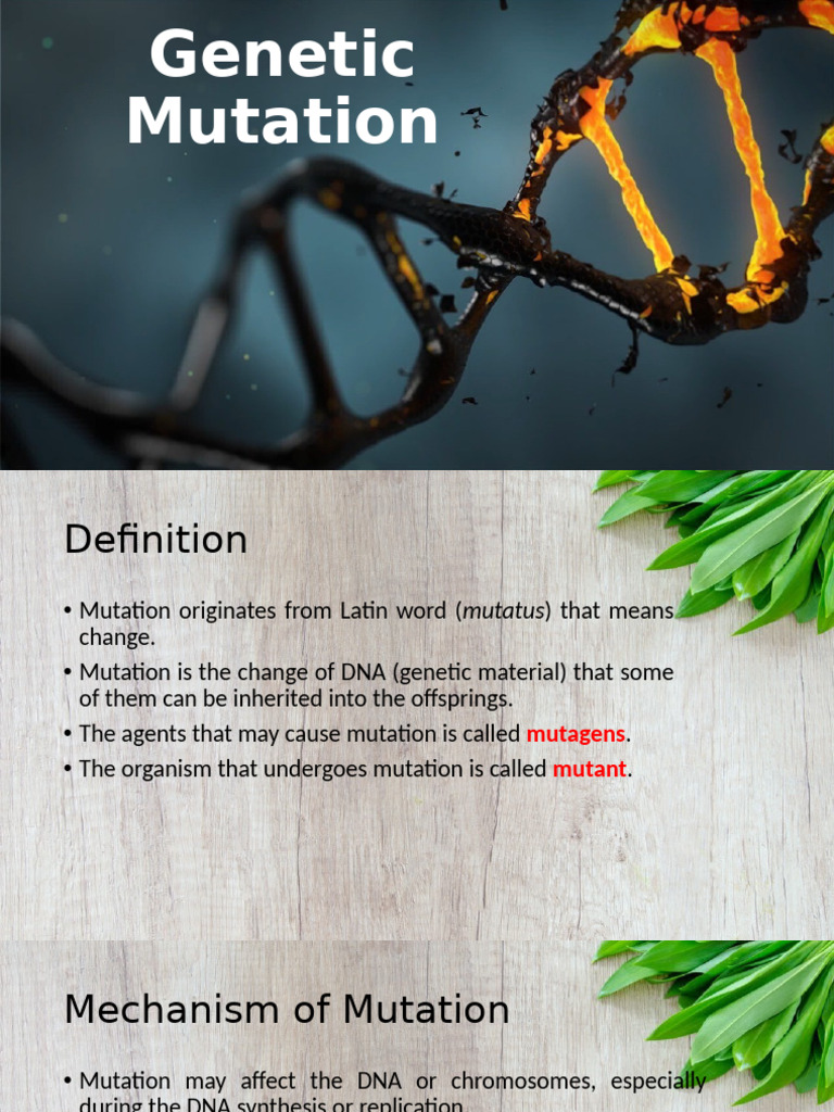 Genetic Mutation | PDF | Point Mutation | Mutation