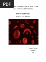 Sickle Cell Anemia Project | PDF | Anemia | Genetics
