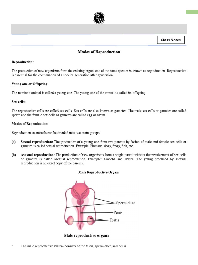 8th Grade Science: Animal Reproduction | PDF | Fertilisation | Sexual ...