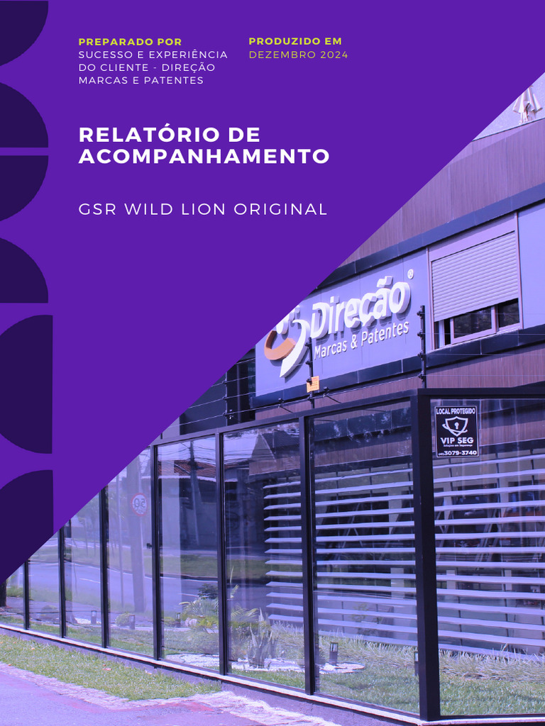 GSR Wild Lion Original - Relatório de Acompanhamento | PDF