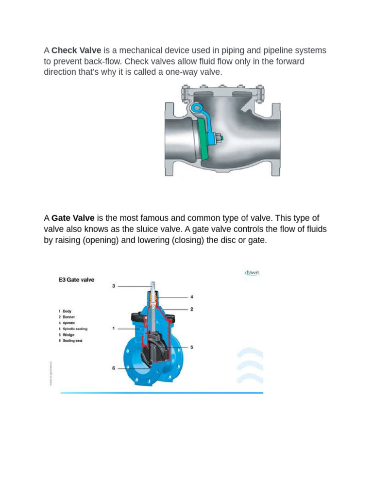 Check and Gate valve | PDF