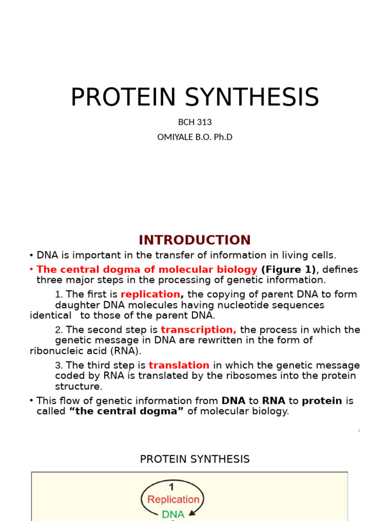 PROTEIN SYNTHESIS | PDF | Translation (Biology) | Genetic Code