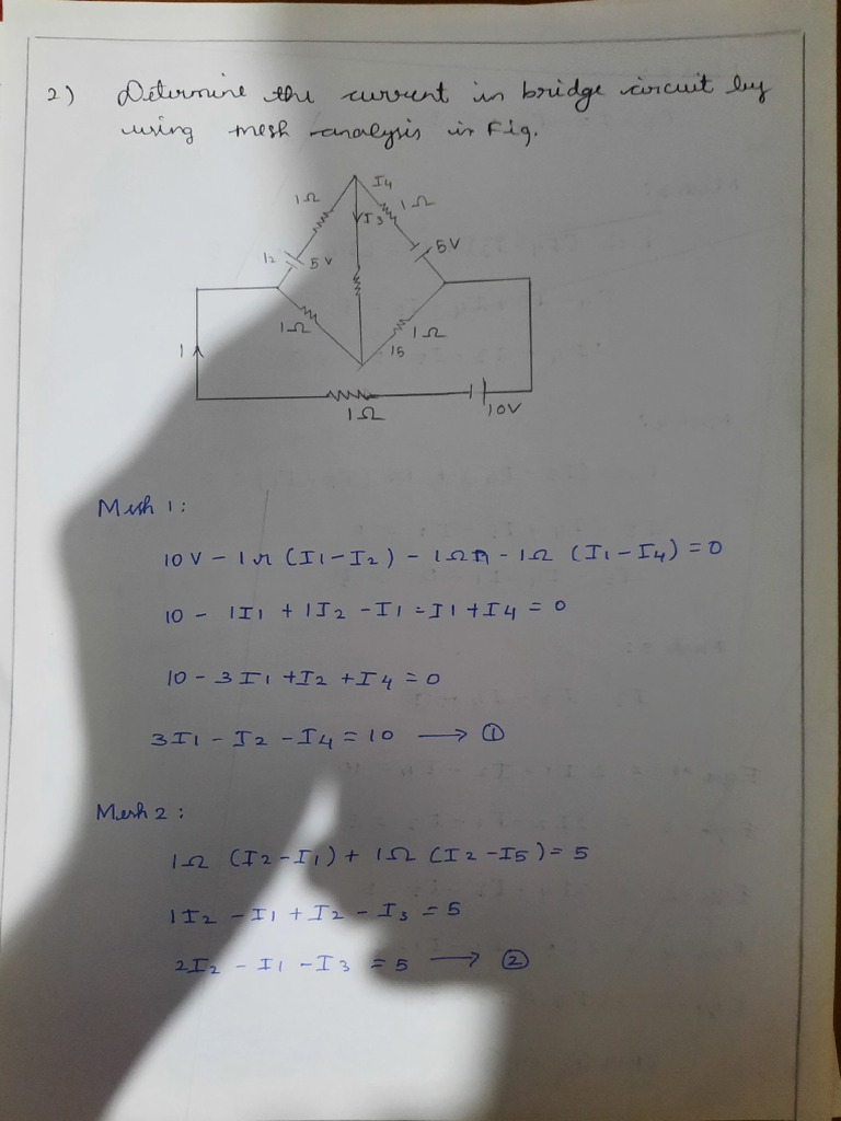 Bee Assignment | PDF