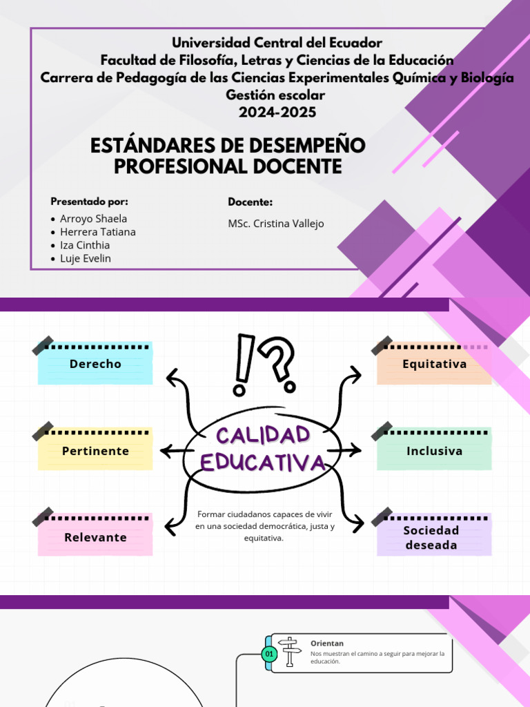 Estándares de Desempeño Profesional Docente | PDF | Maestros | Enseñando