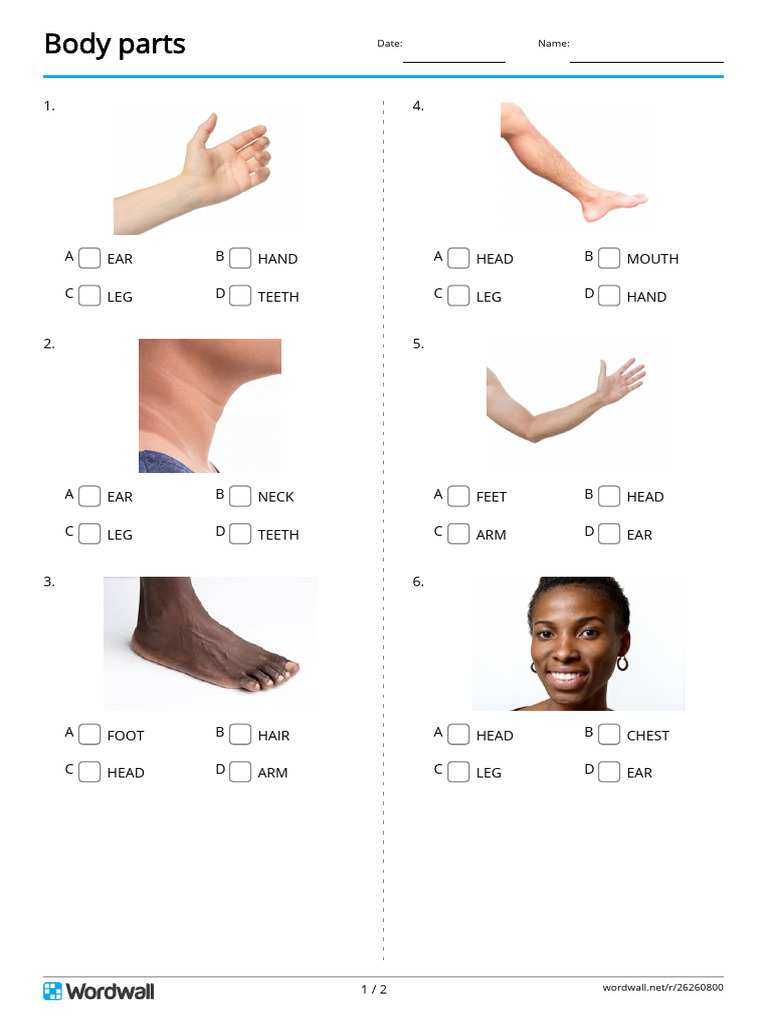 Body Parts Quiz (1) | PDF