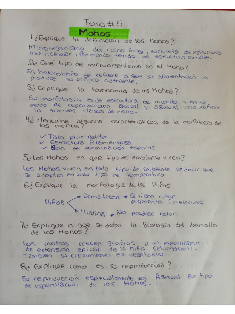 ImageToPDF 30-10-2024 12.52.56 | PDF