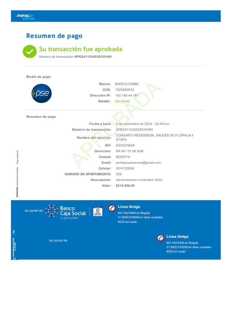 Apie2411030020535499 20241103 | PDF