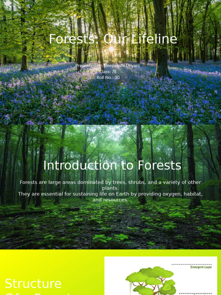 Forest Our Lifeline | PDF