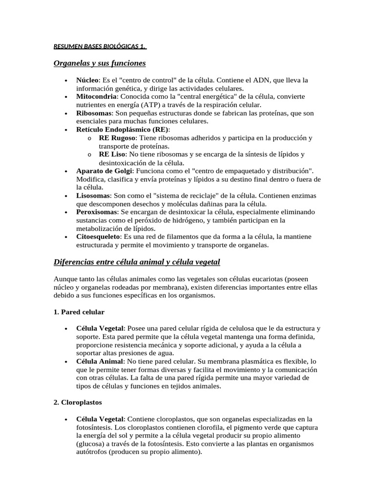 Organelas y Sus Funciones: Núcleo Mitocondria Ribosomas Retículo ...