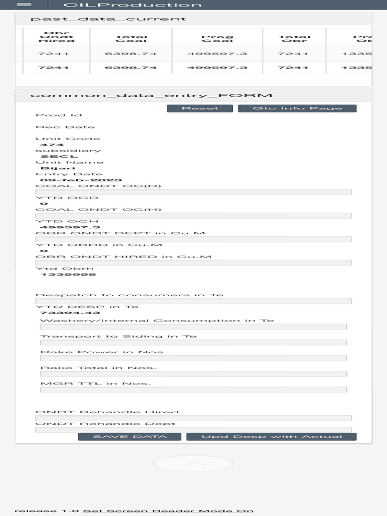 Coal Production Data Entry Form | PDF