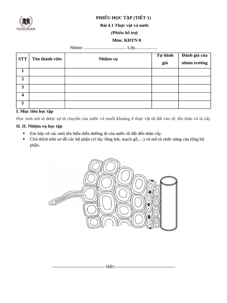 PHT_KHTN 8_Bai 4.1 Thuc vat va nuoc | PDF