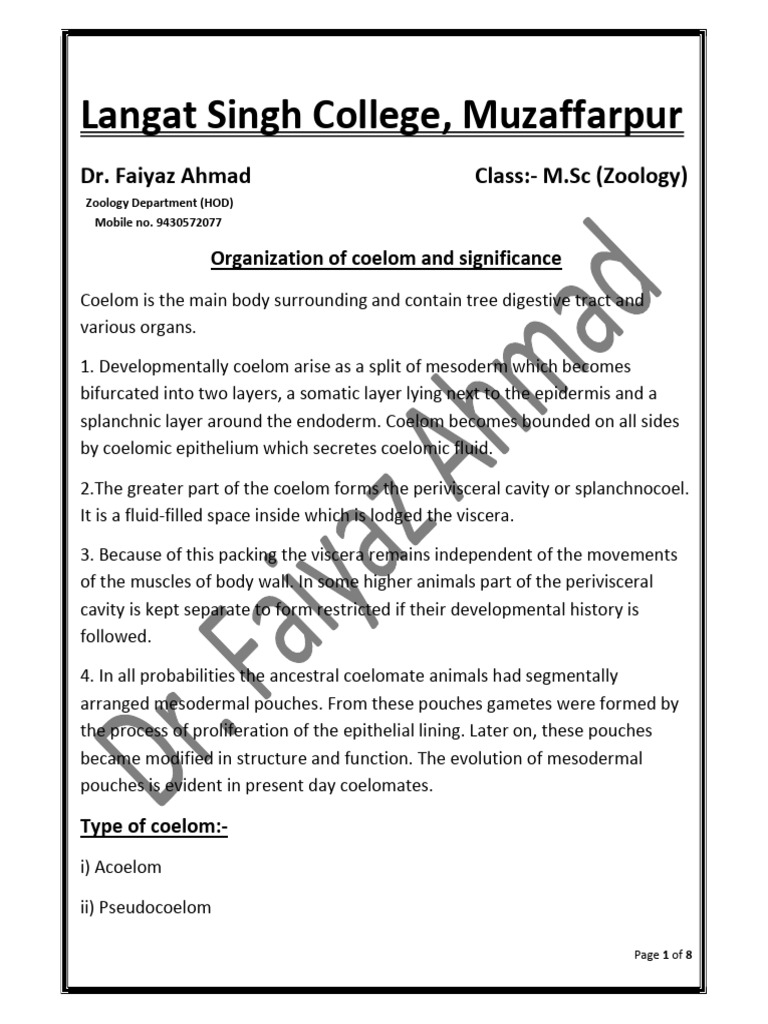 Types and Formation of Coelom | PDF | Anatomy
