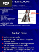Flexor Extensor Retinaculum of The Hand | PDF | Thumb | Hand