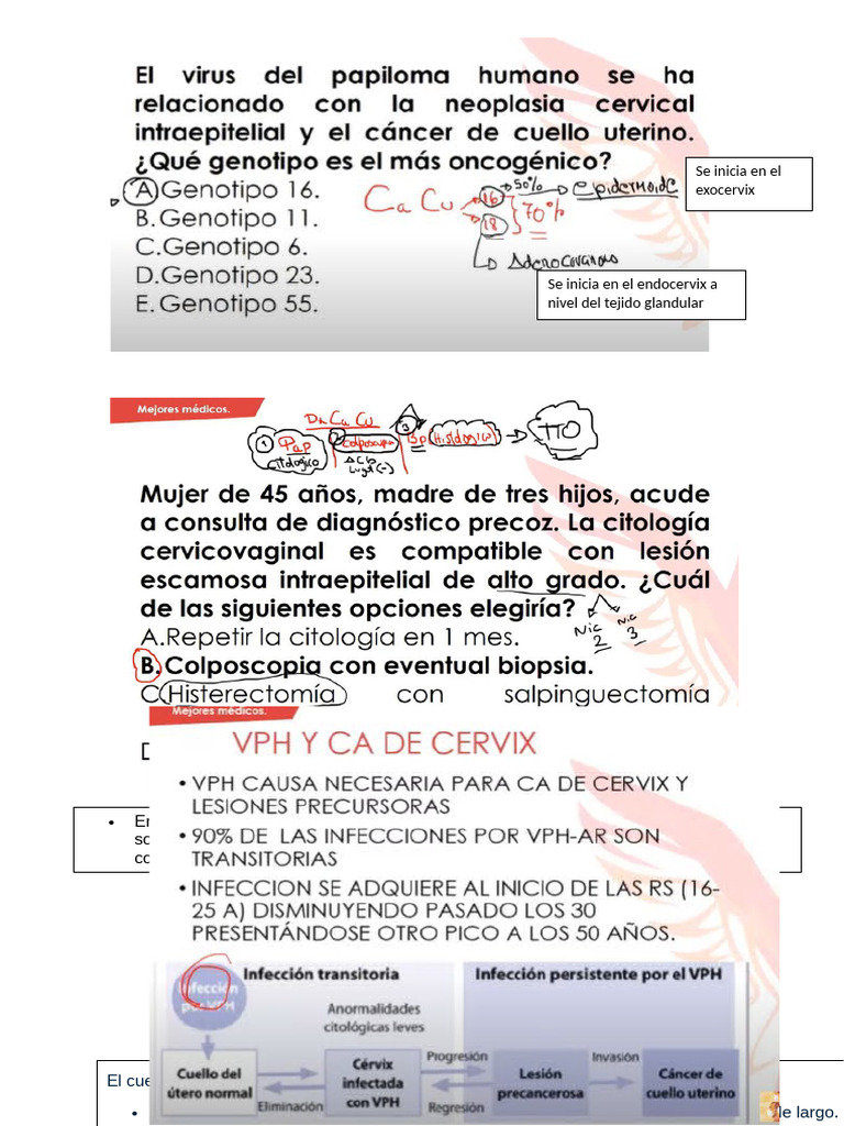 Se Inicia en El Exocervix | PDF | Cáncer de cuello uterino | Epitelio