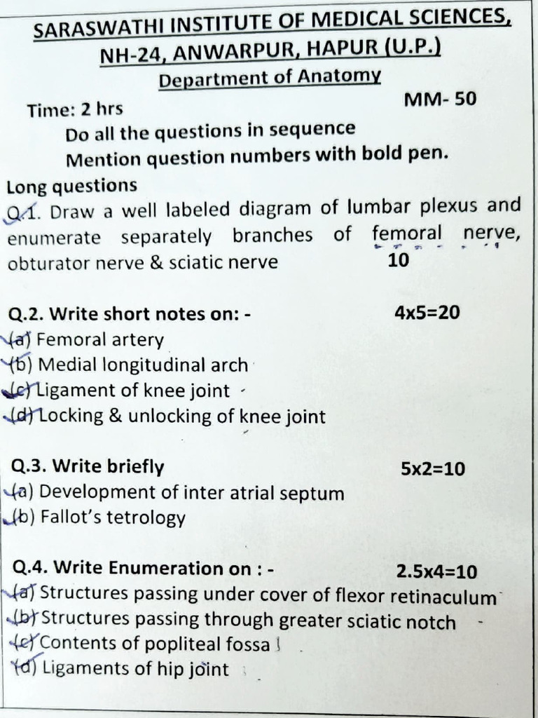 Anatomy Papers | PDF | Arm | Musculoskeletal System