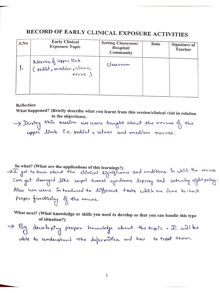Anatomy Logbook_241219_223806 | PDF
