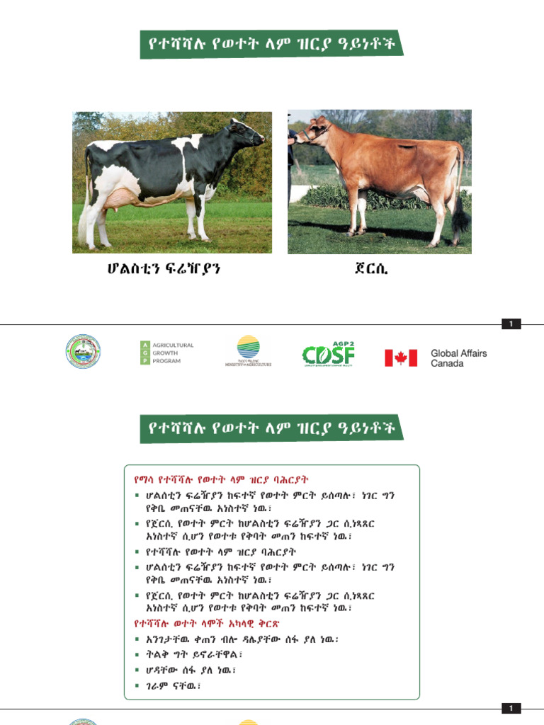 Dairy Flip Chart | PDF