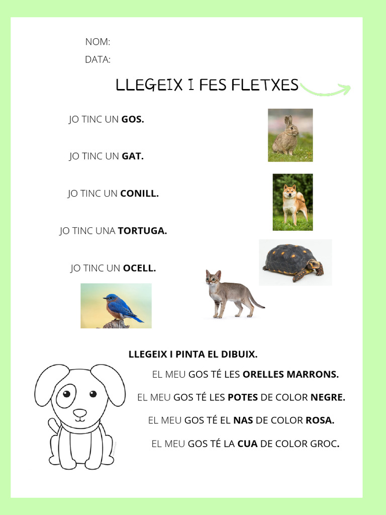 ¡Lee y Responde ! | PDF