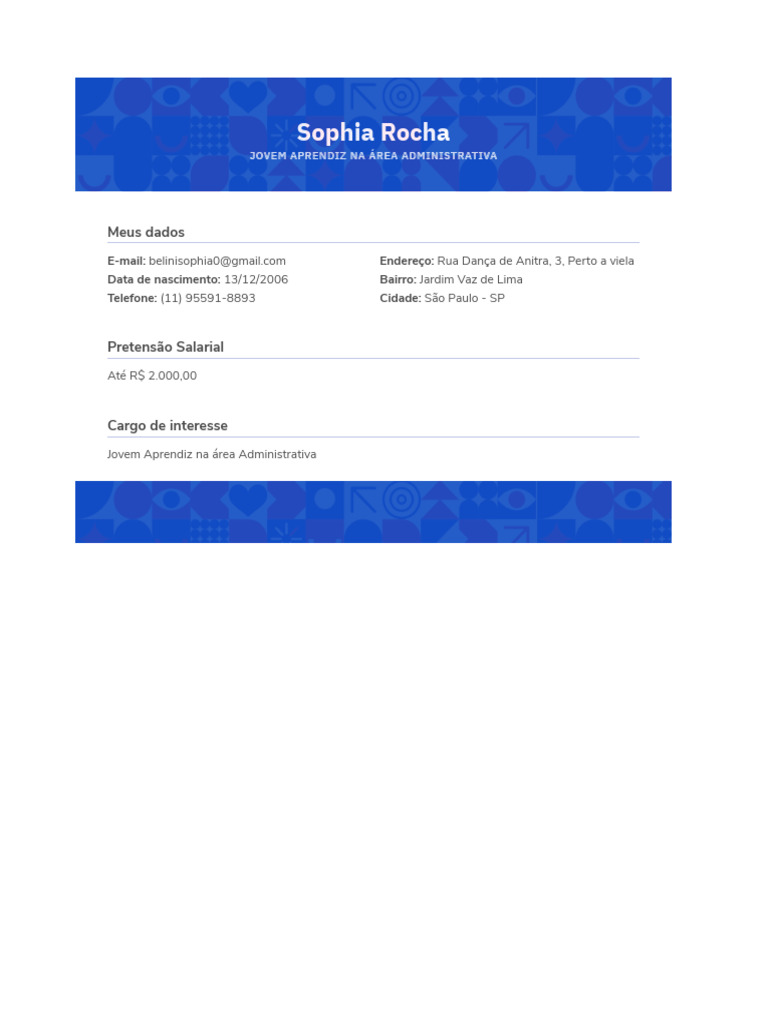 Curriculo Sophia Rocha | PDF