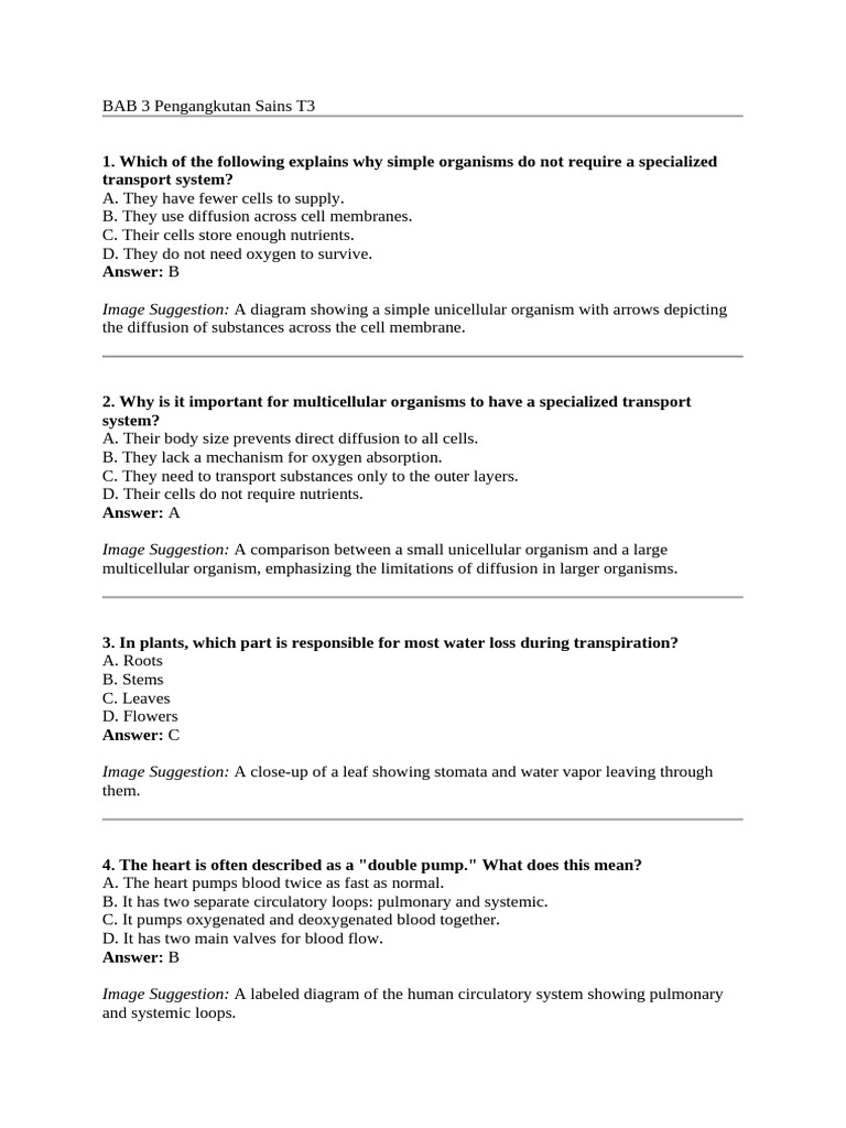 BAB 3 Pengangkutan Sains T3 | PDF | Blood Type | Cell (Biology)