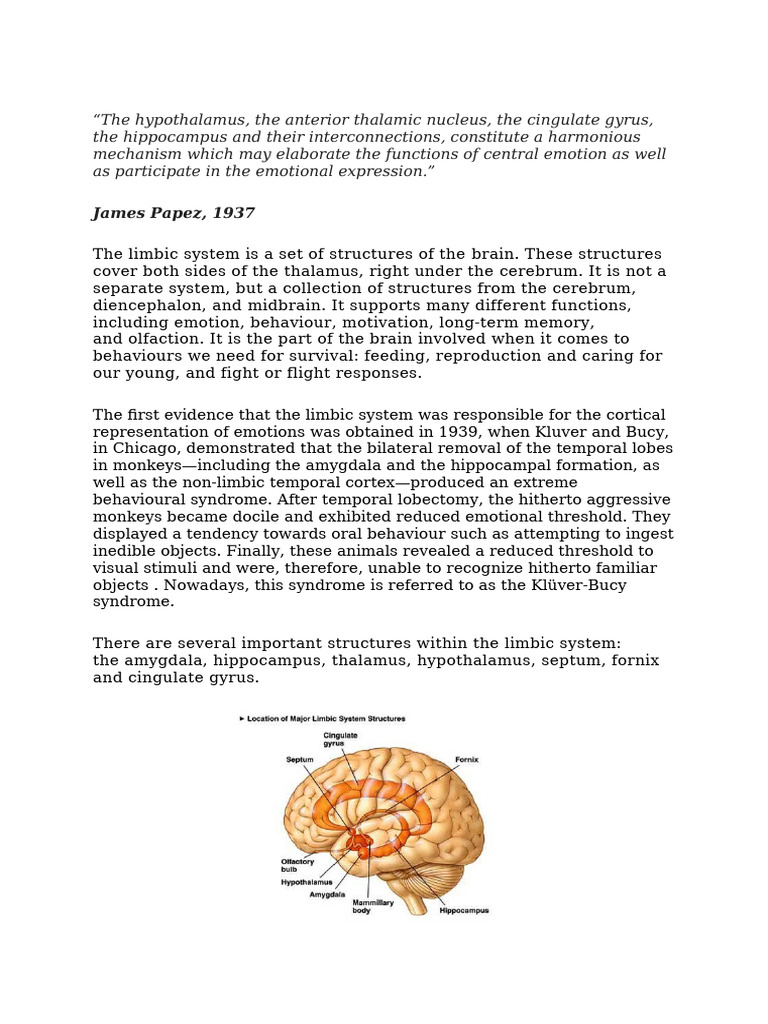 limbic system | PDF | Limbic System | Hippocampus
