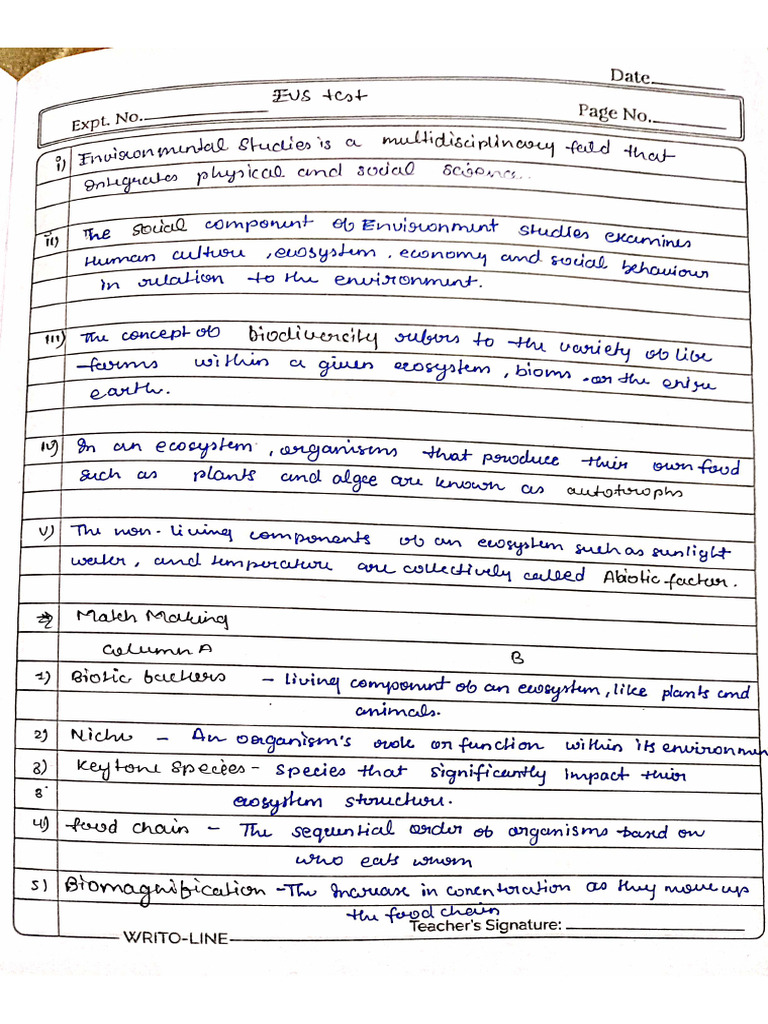 EVS Project 1st Year | PDF