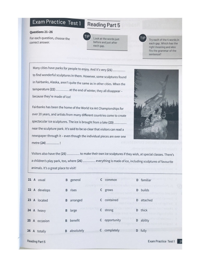 Reading and Listening Excercises | PDF