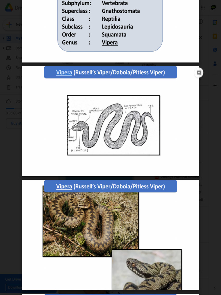 My Drive - Google Drive 2 | PDF | Software