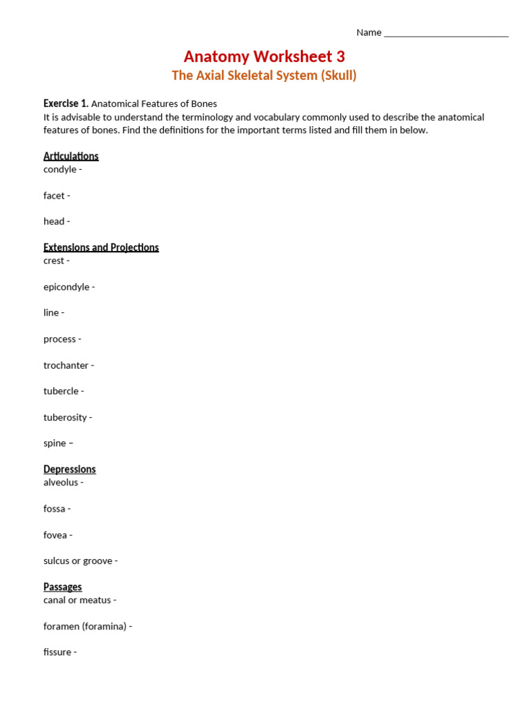Axial Skeleton Anatomy Exercises | PDF | Vertebral Column | Skull