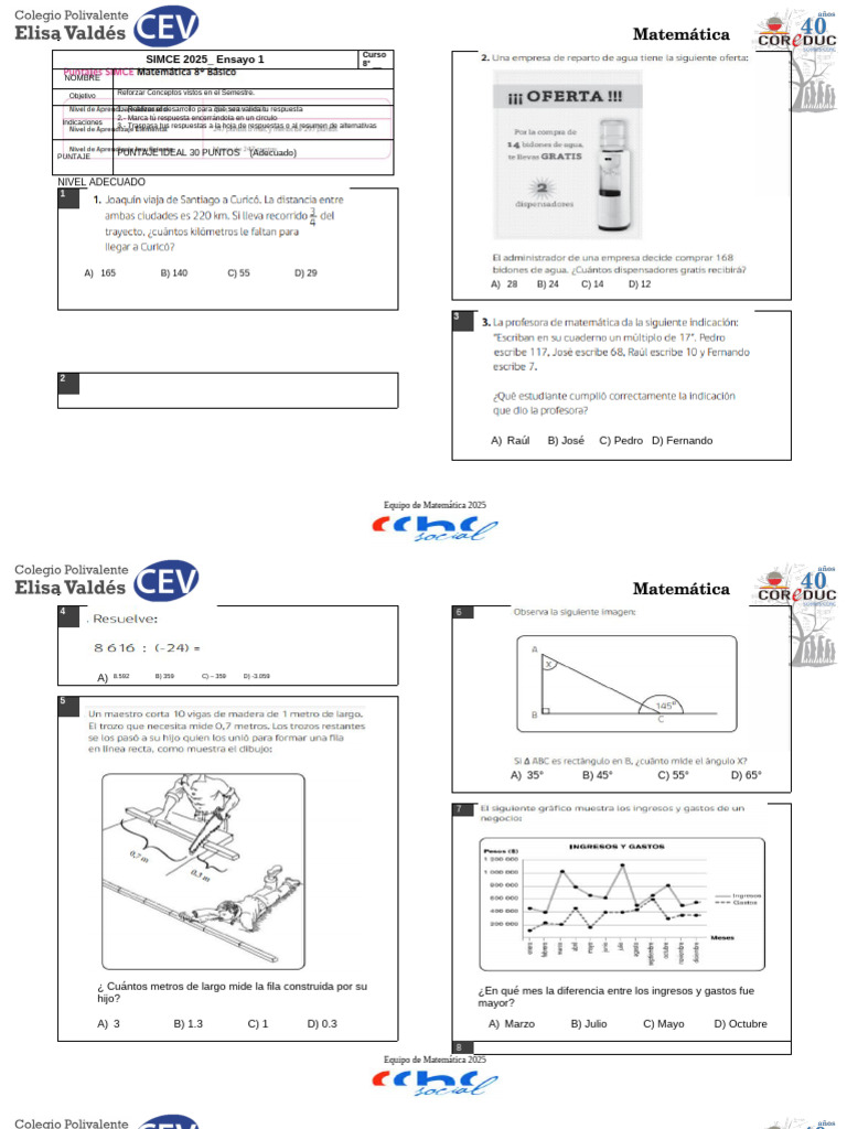 Ensayo SIMCE 2025 - 1 | PDF